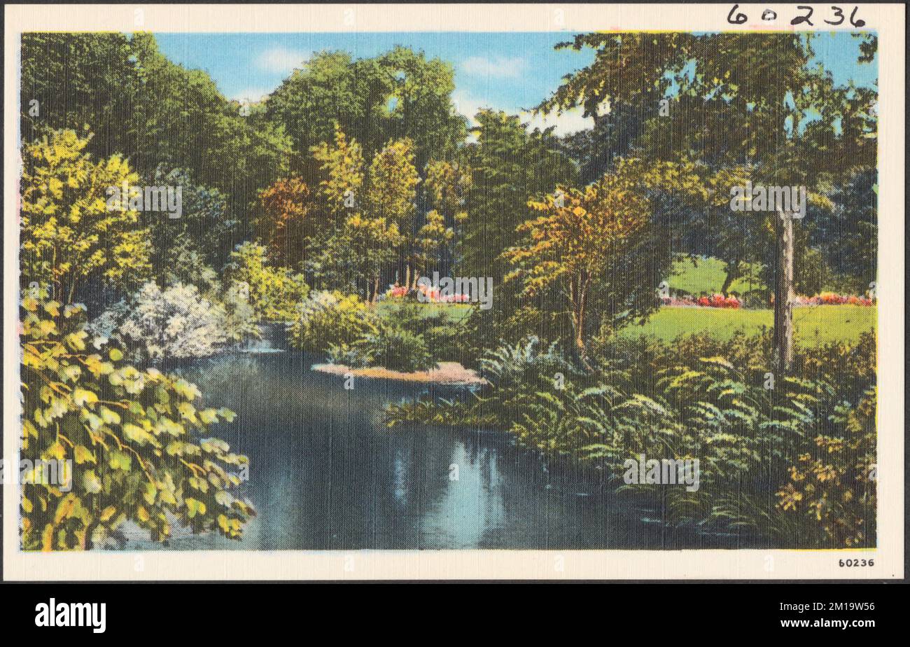 Trees and shrub-lined body of water , Bodies of water, Trees, Shrubs ...