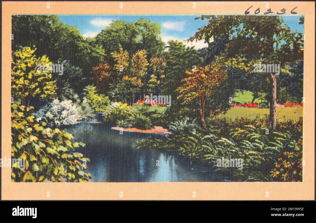 Trees and shrub-lined body of water , Bodies of water, Trees, Shrubs ...