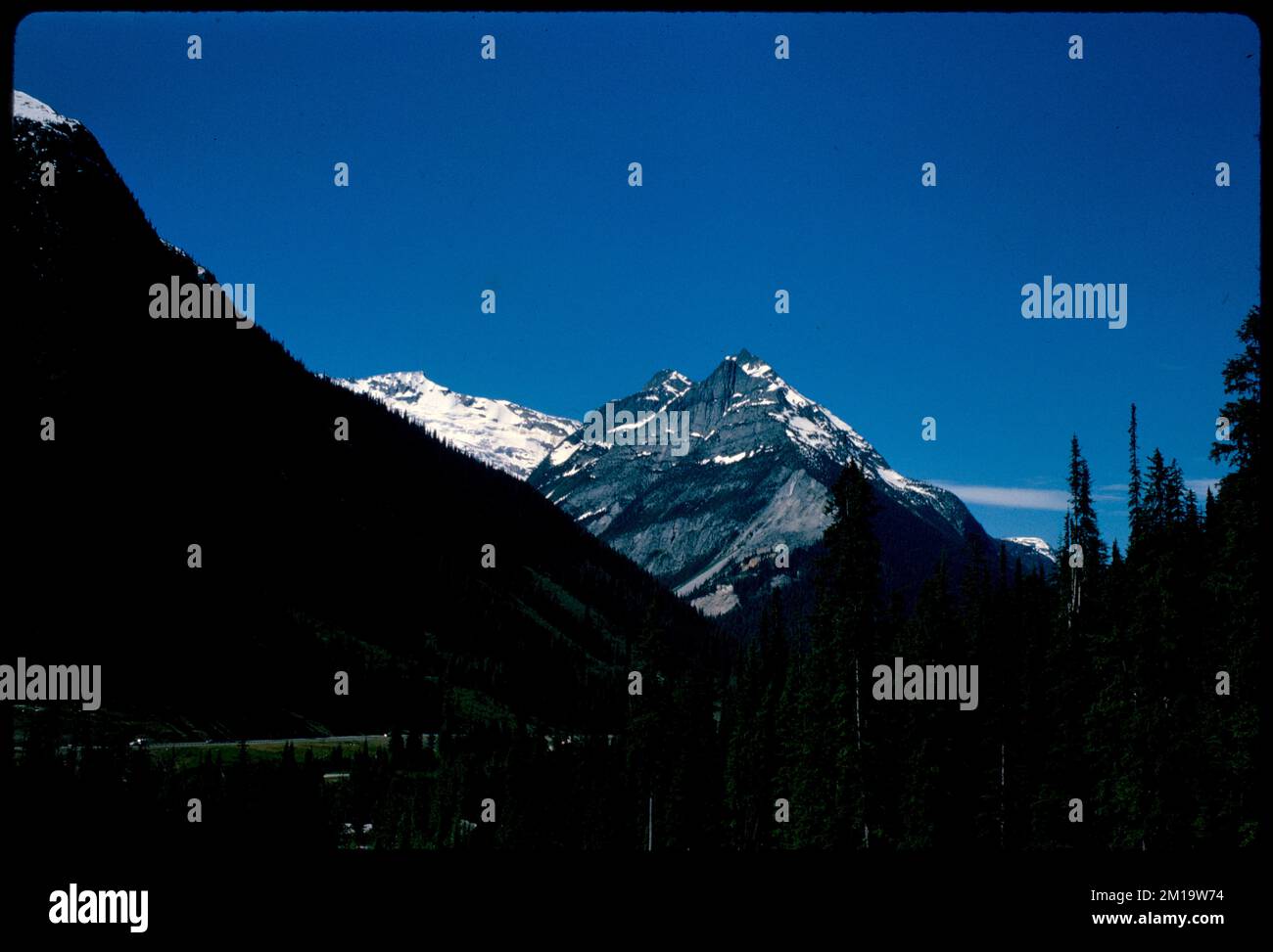 Trees and tree-covered mountain slope in front of snow-capped mountains ...