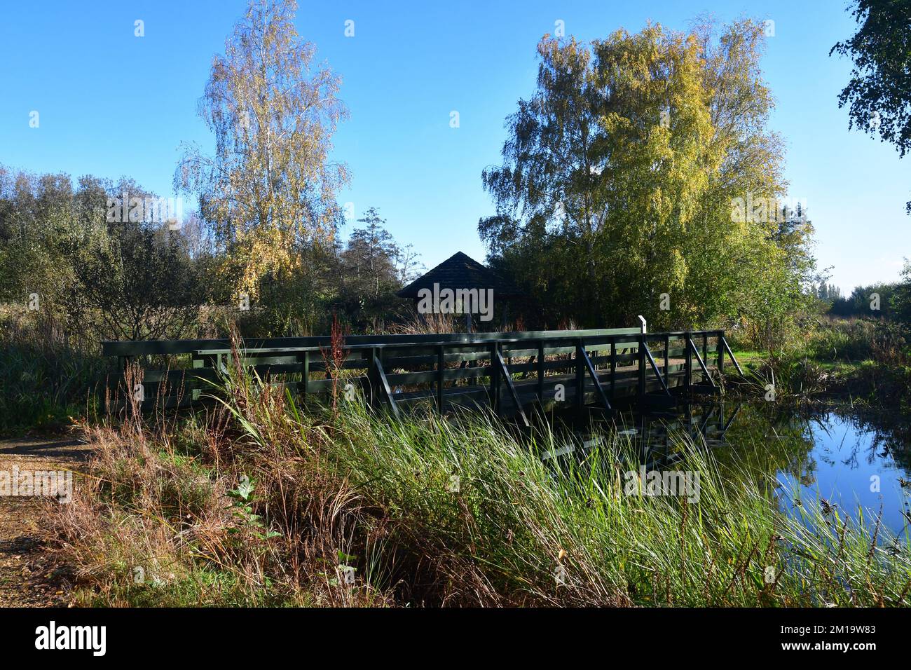 WWT London Wetland Centre, London, UK Stock Photo - Alamy
