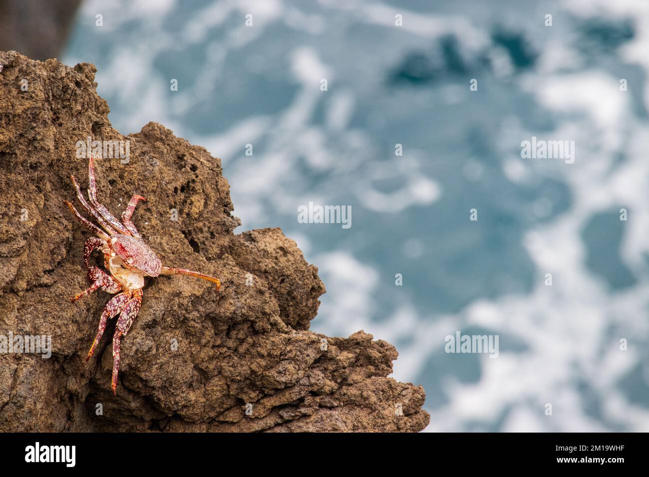 Never storm hi-res stock photography and images - Alamy