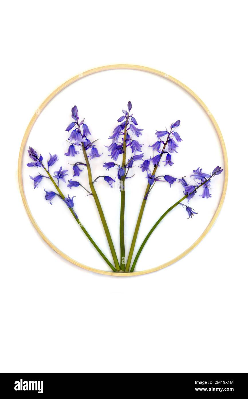 Bluebell wildflower abstract design symbol with wooden round shape ...