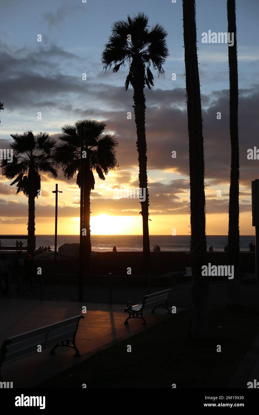 A vertical shot of a beautiful beach with palm trees at sunset Stock ...