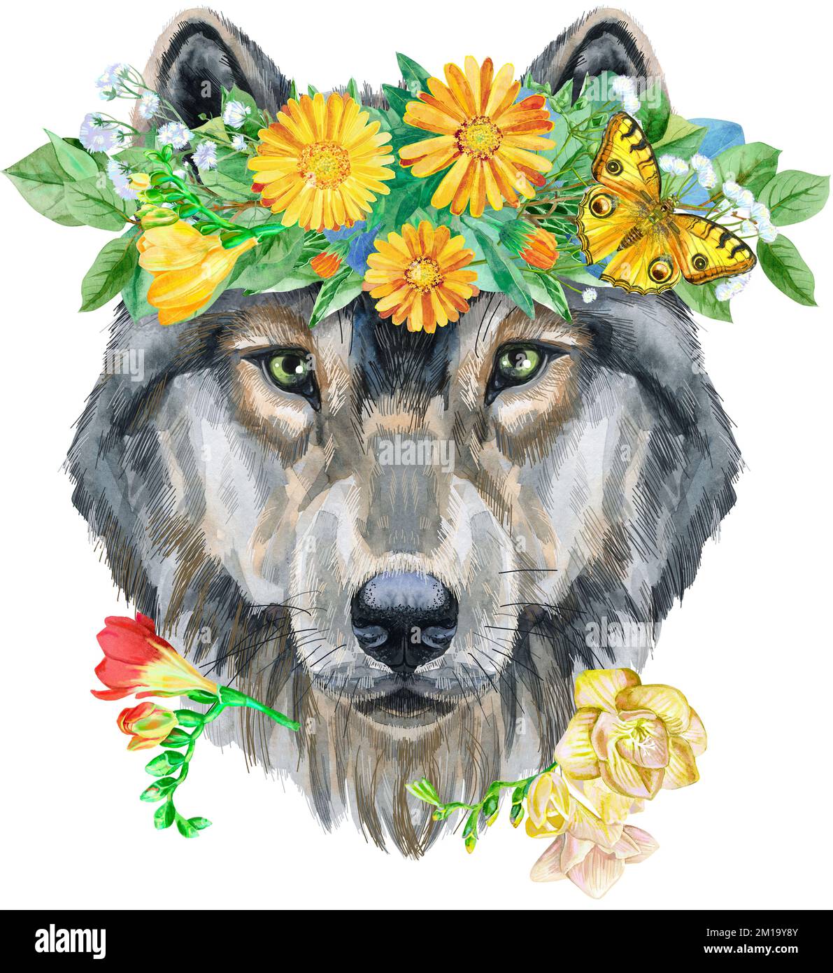 Wolf portrait in a wreath of flowers. Watercolor gray wolf painting ...