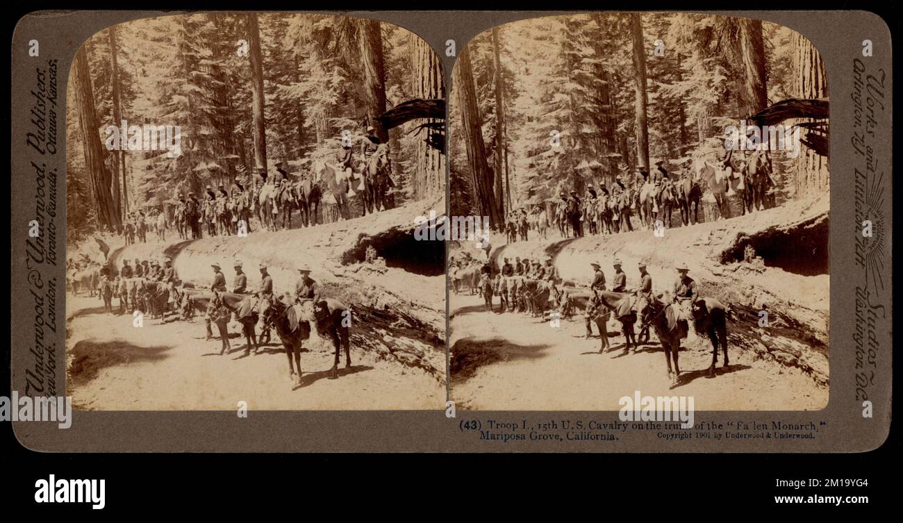 Troop I. U.S. Cavalry on the trunk of the 'Fallen Monarch,' Mariposa ...