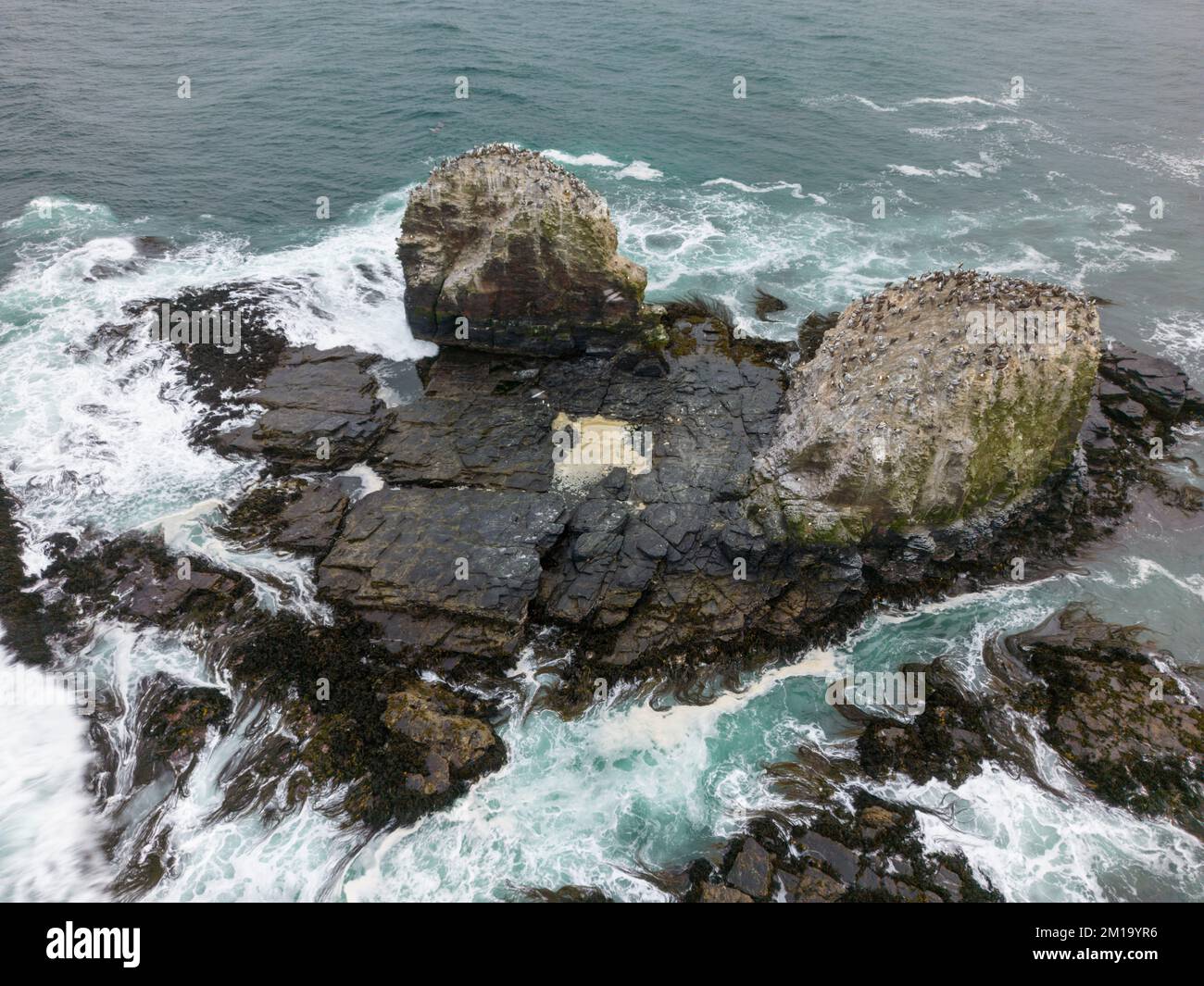 Punta de lobos chile hi-res stock photography and images - Alamy