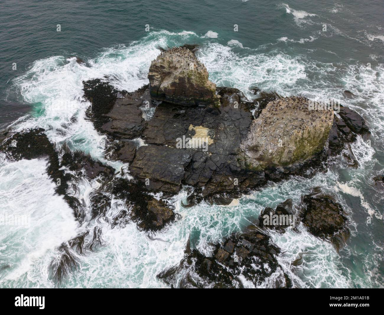 Punta de lobos chile hi-res stock photography and images - Alamy