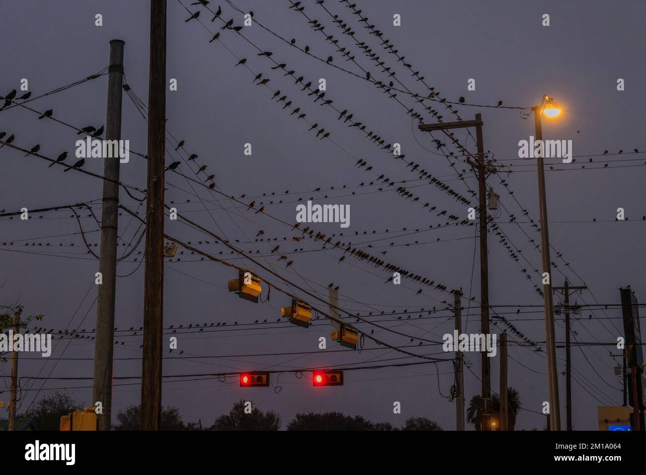 Mcallen city hi-res stock photography and images - Alamy