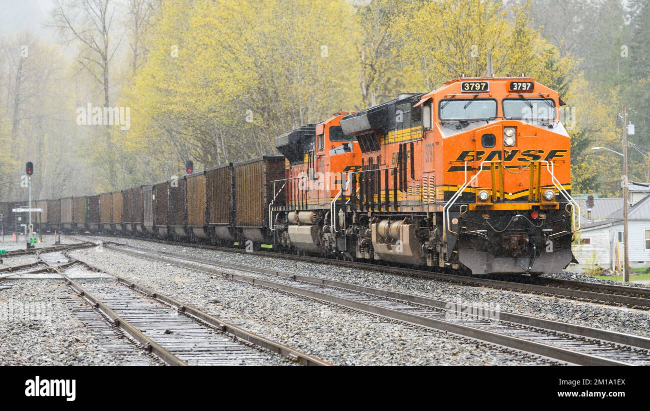 Skykomish, WA, USA - April 26, 2022; BNSF empty coal train in the pouring rain in the Cascade ...