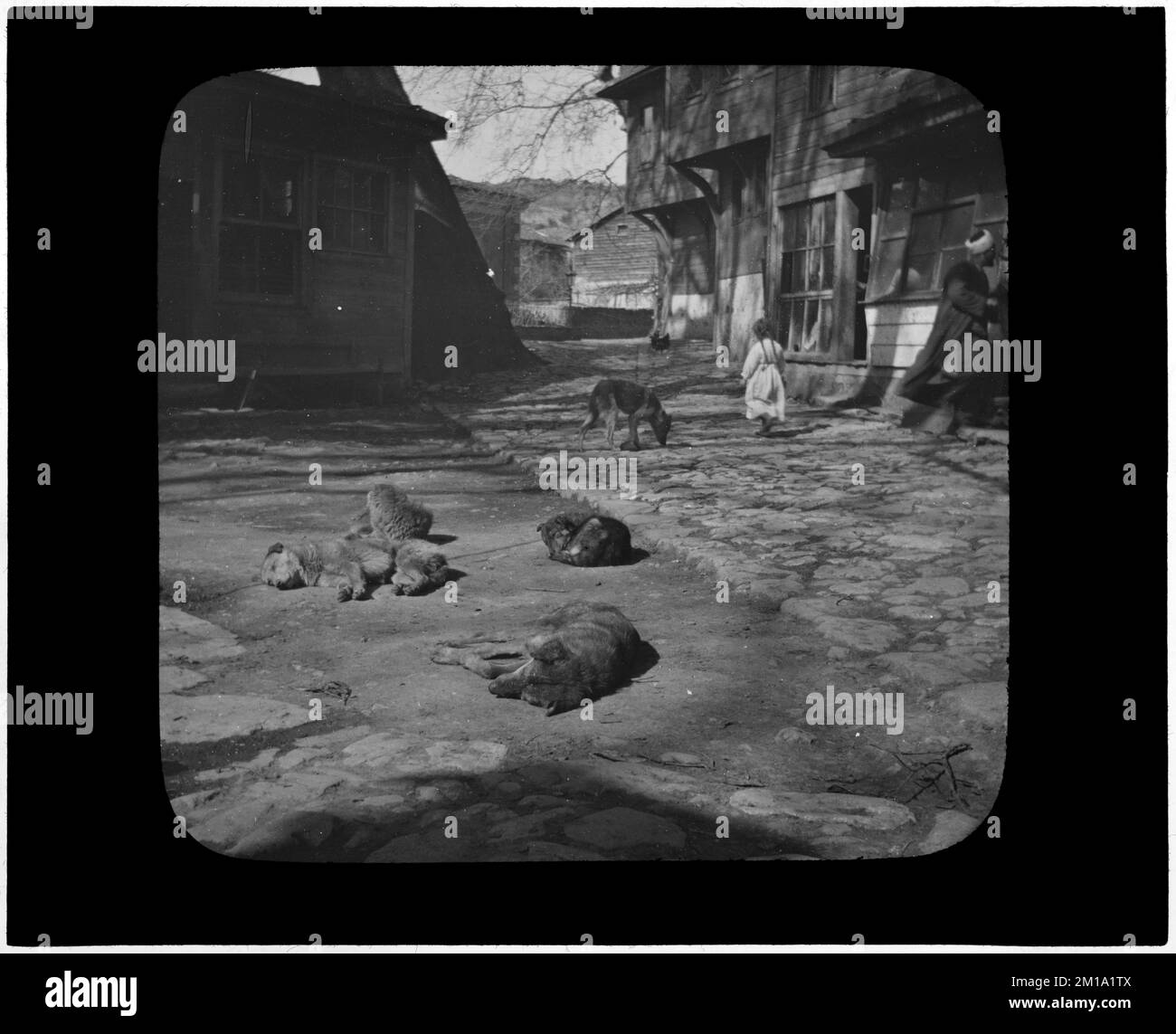 Turkey early 1900s Black and White Stock Photos & Images - Alamy