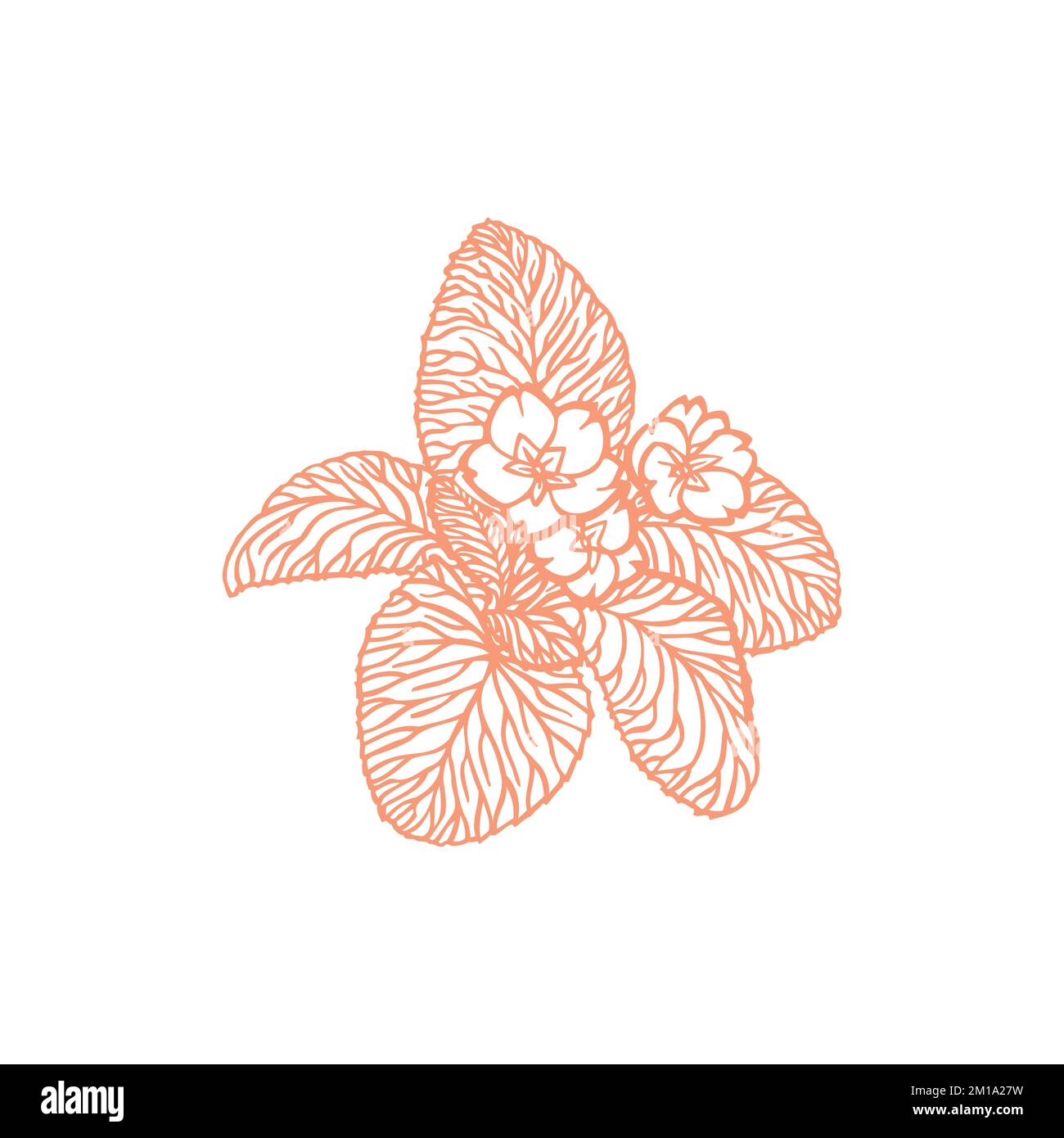 One color vector vectors Cut Out Stock Images & Pictures - Alamy