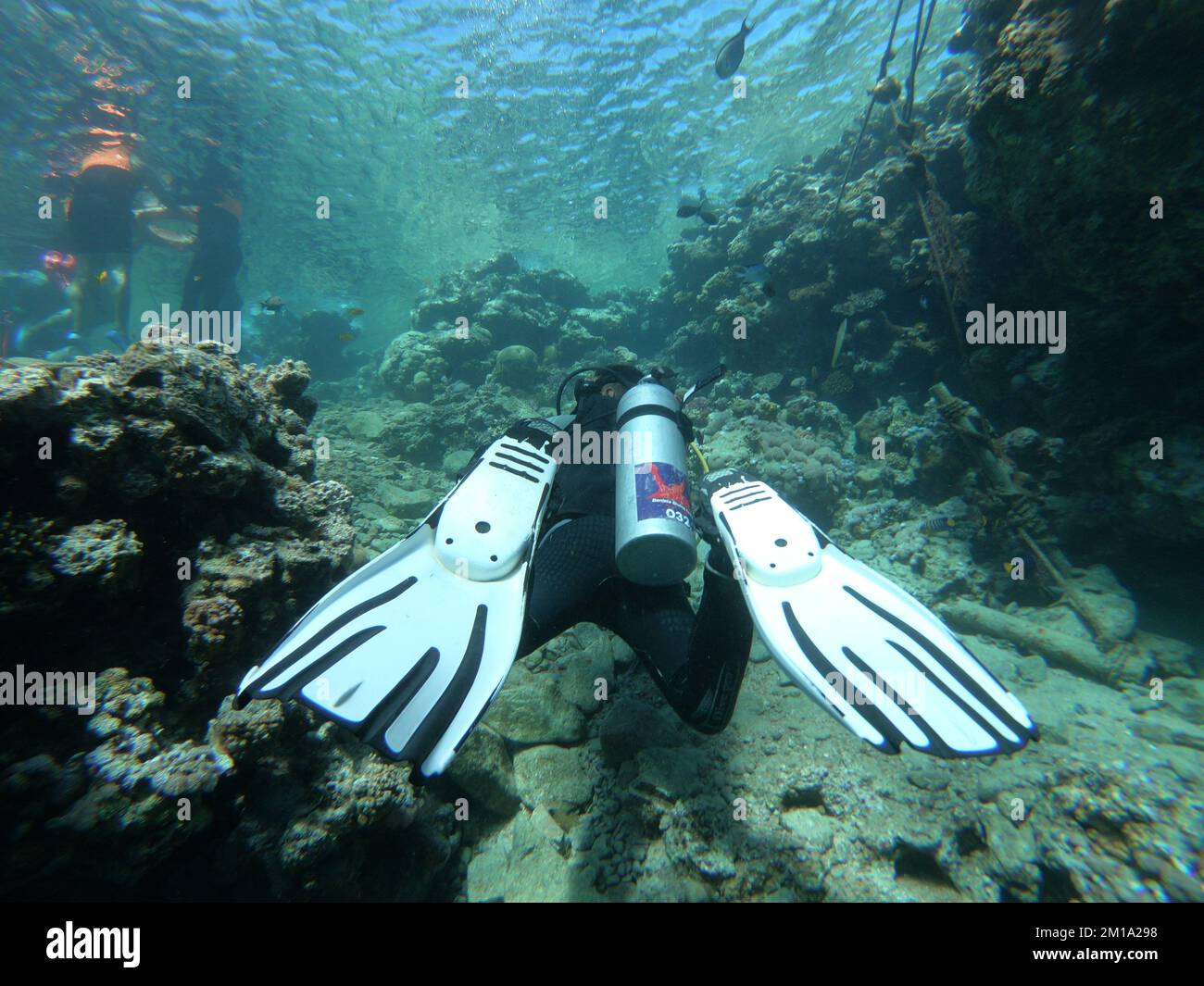 Closeup man in ocean under hi-res stock photography and images - Alamy