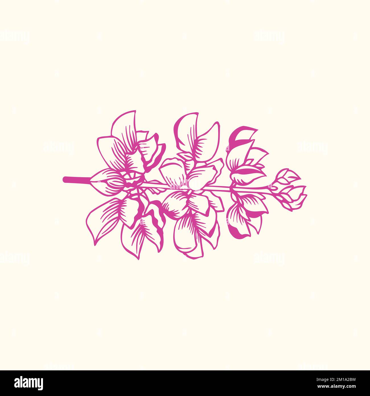 Vector design concepts Stock Vector Image & Art - Alamy