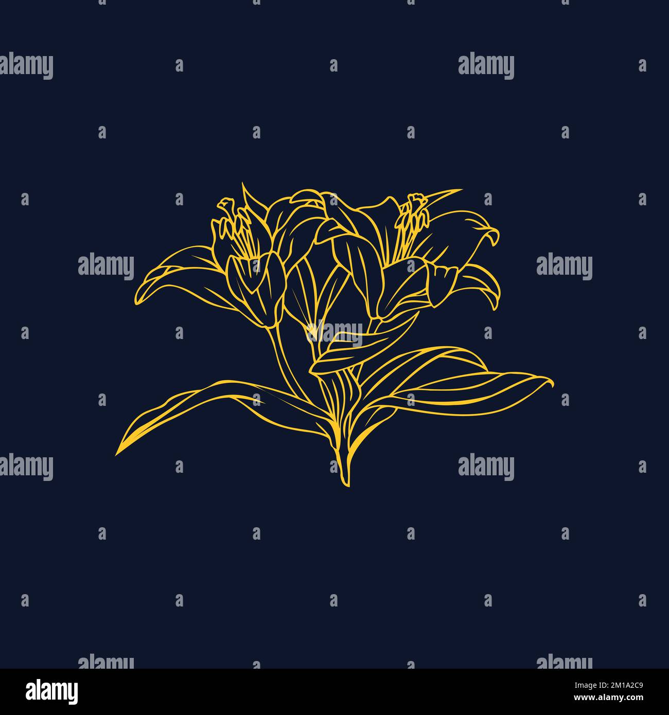 Vector design concepts Stock Vector Image & Art - Alamy