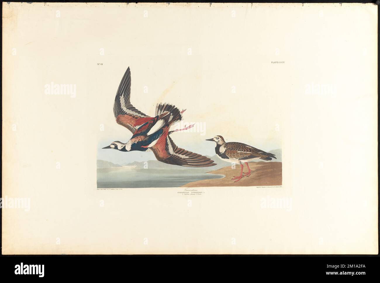 Original stone drawings hi-res stock photography and images - Alamy