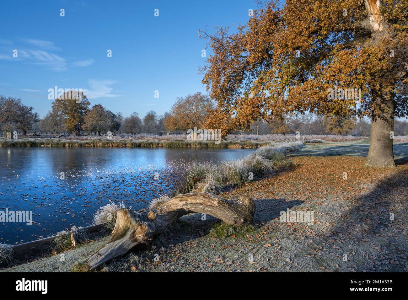 Seasonal cold hi-res stock photography and images - Alamy