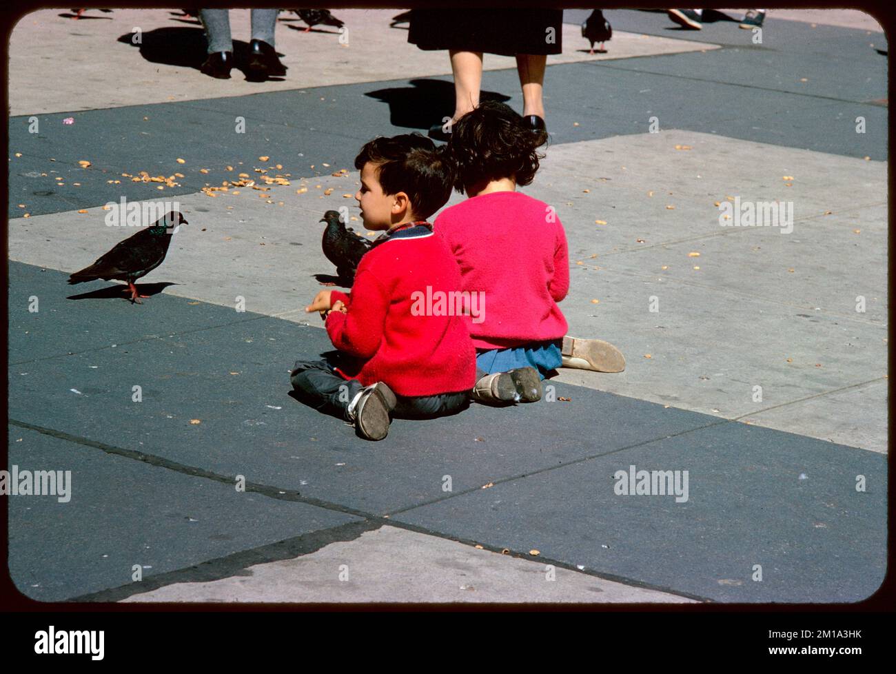 Two children sitting on ground near pigeons and other people, Boston ...