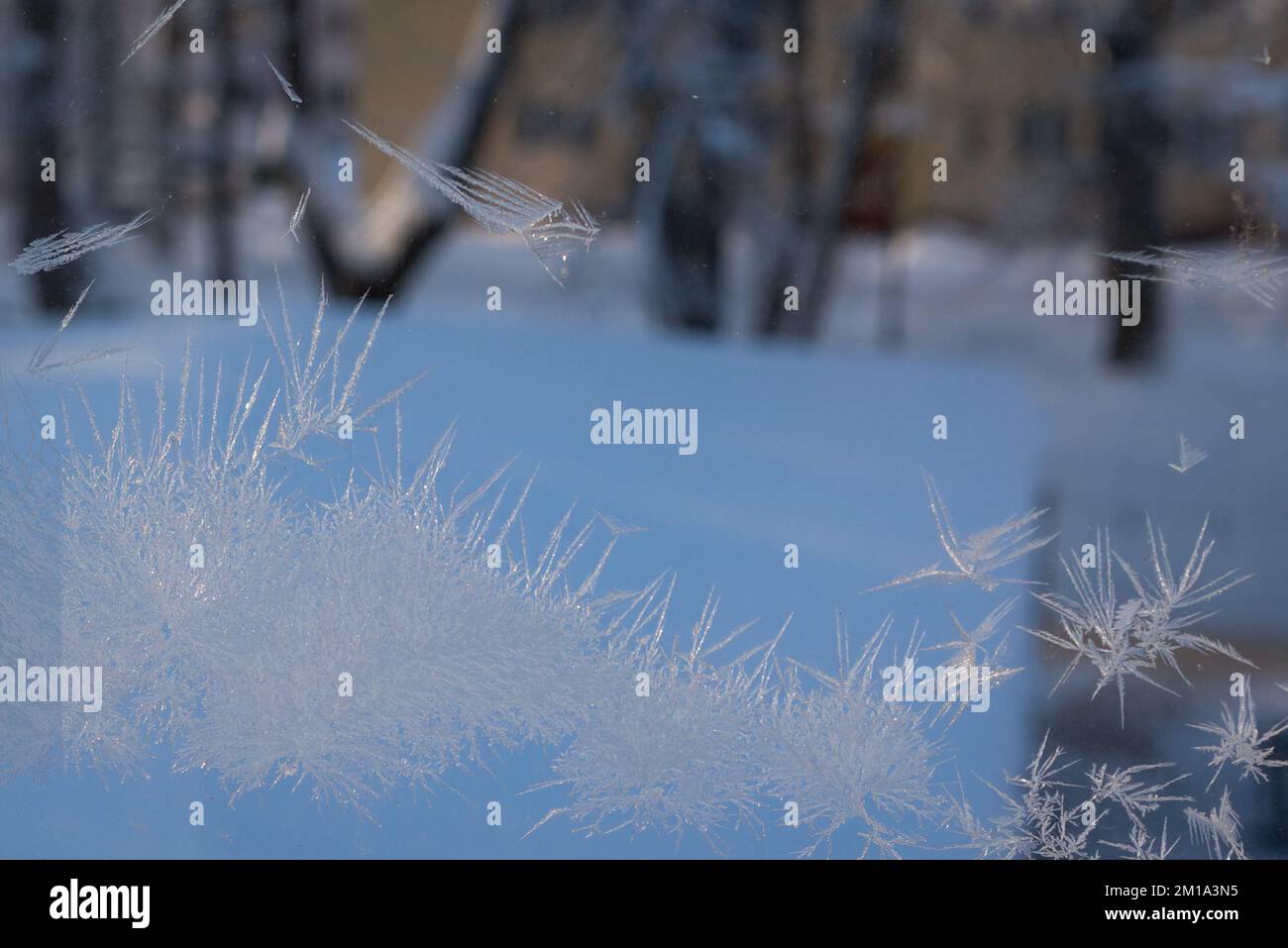 Ice and flowers hi-res stock photography and images - Alamy