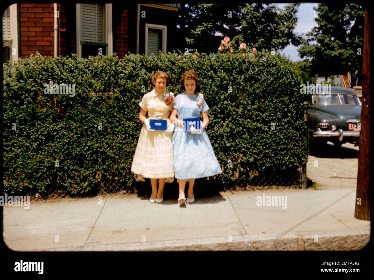 Two girls standing in front of hedge , Graduation ceremonies, Students ...