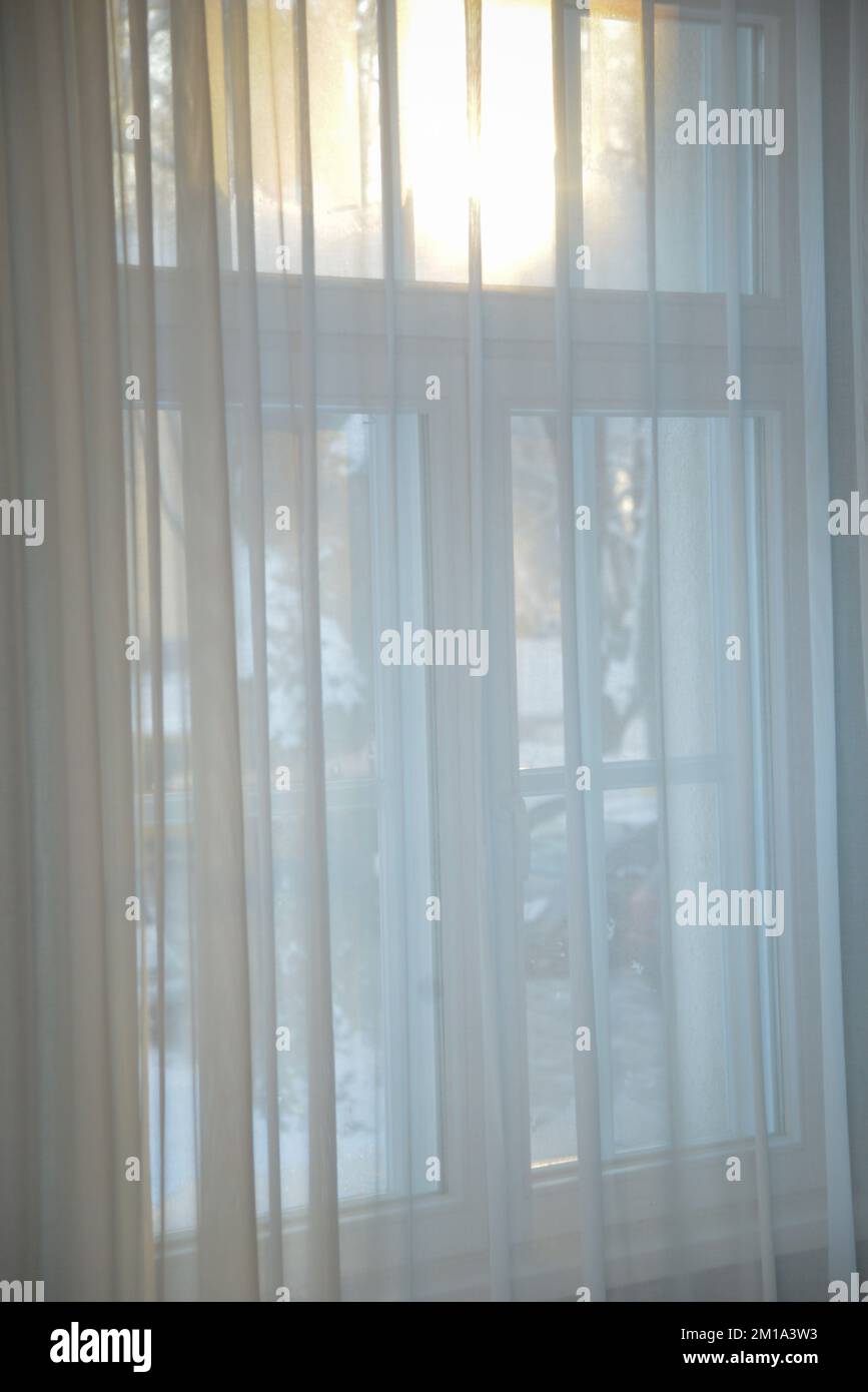 wooden window behind white silk curtains through which the orange sun ...