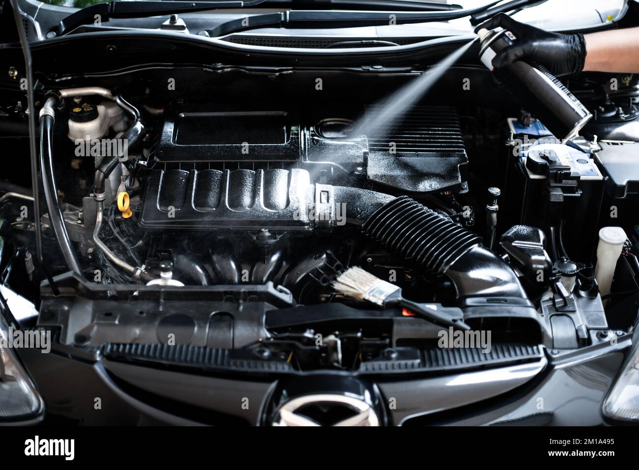 Cleaning the engine bay. Car cleaning and car detailing concept Stock ...