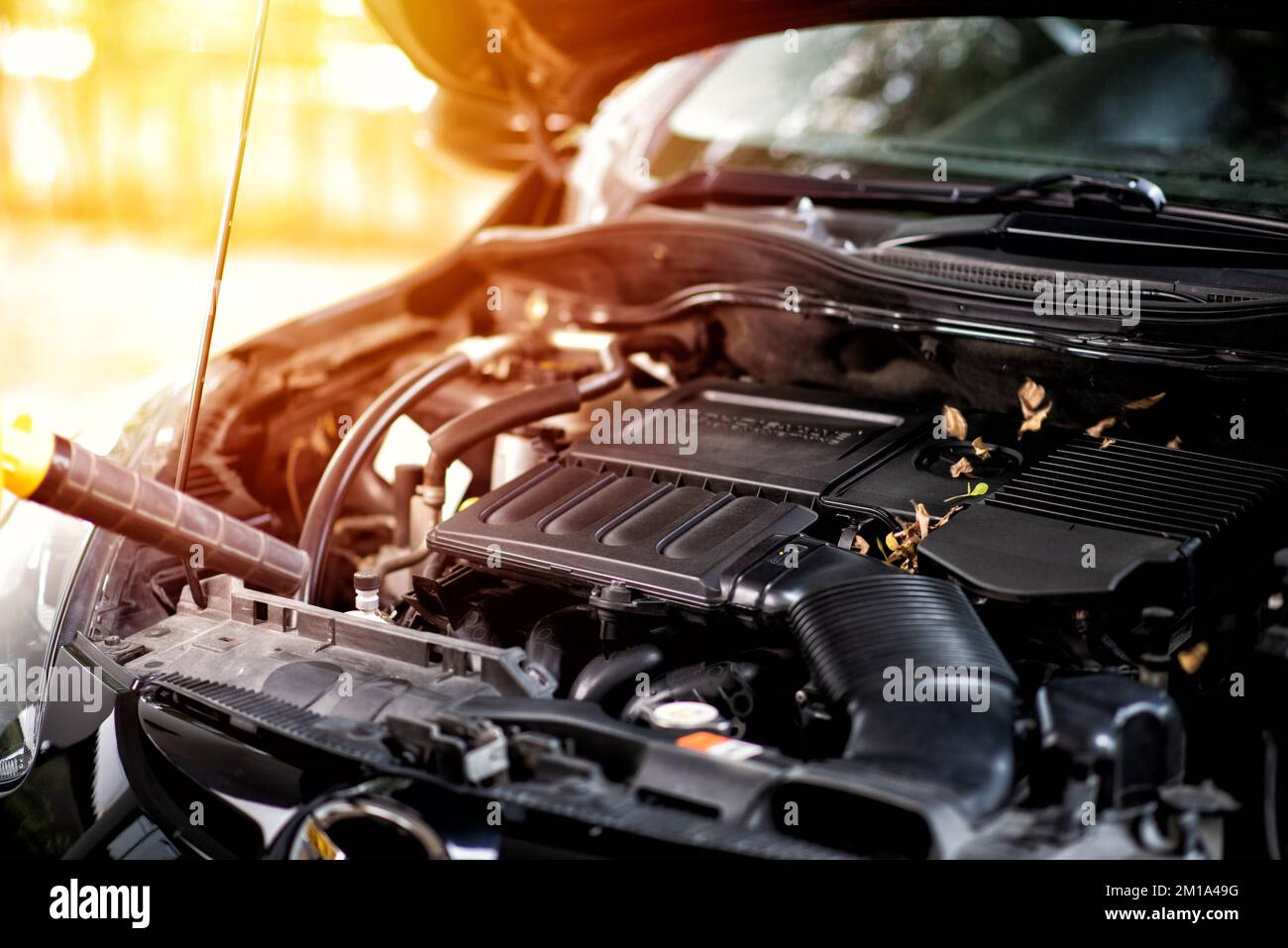 Engine bay detailing hi-res stock photography and images - Alamy
