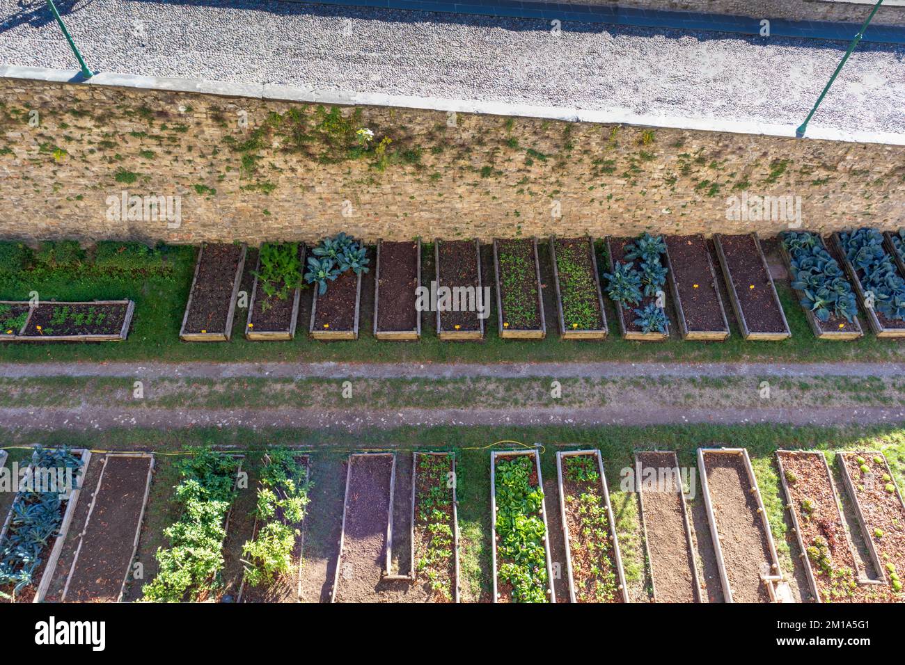 Flower pots of different colors are arranged in two rows on green grass ...