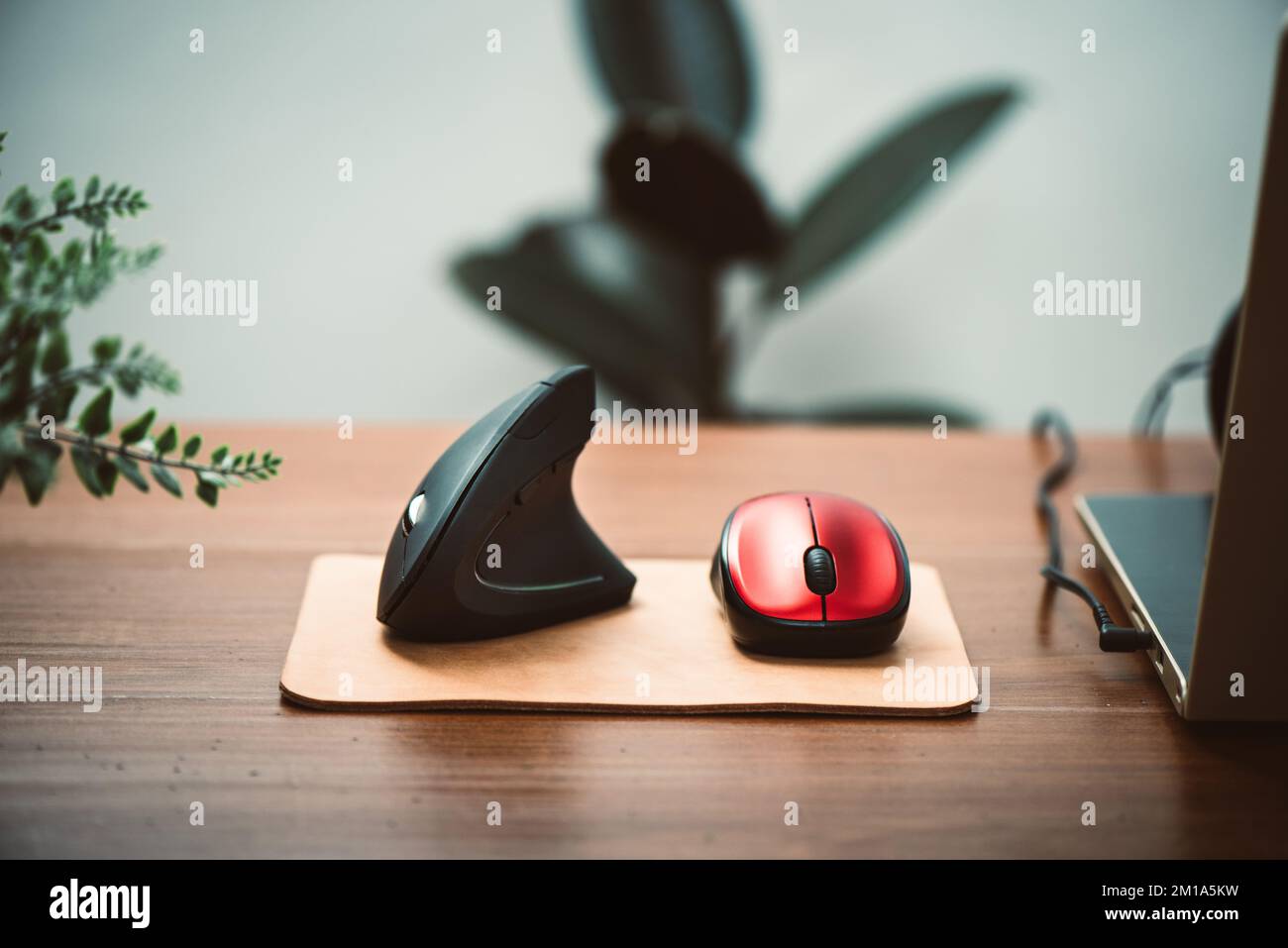 Ergonomic mouse and normal computer mouse. Black vertical optical ...