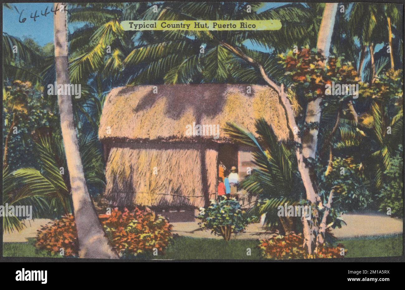 Typical country hut, Puerto Rico , Huts, Flowers, Trees, Roads ...