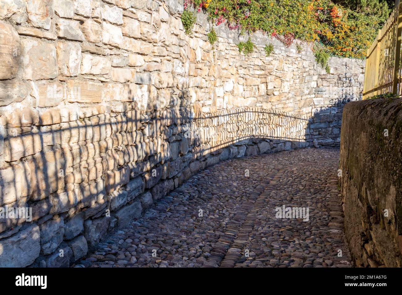 A small street with a gray cobbled road and a wall with green trees ...