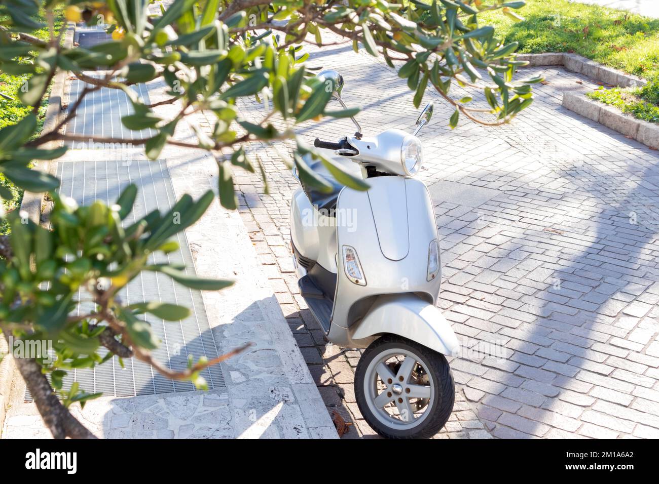 Gray moped on the street with green trees Stock Photo - Alamy
