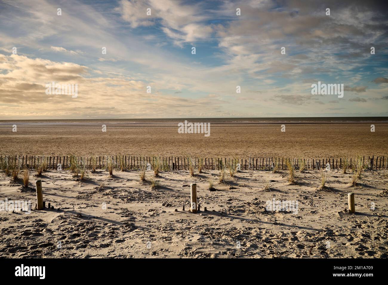 Wooden fence and fence poles in sand dunes conservation area on the ...