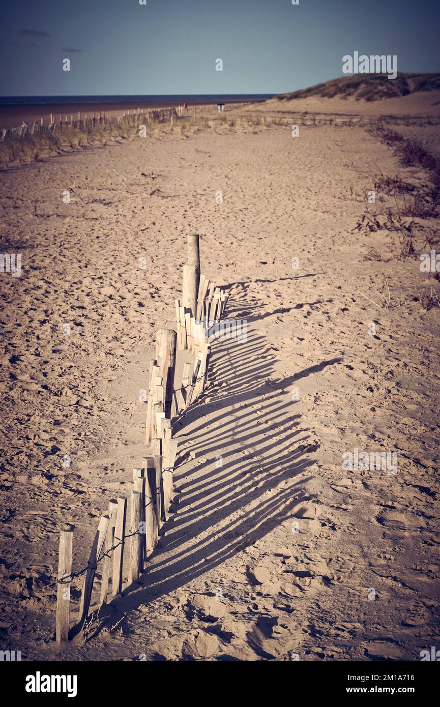 Wooden fence protruding from the sand on the Fylde coast sand dunes ...