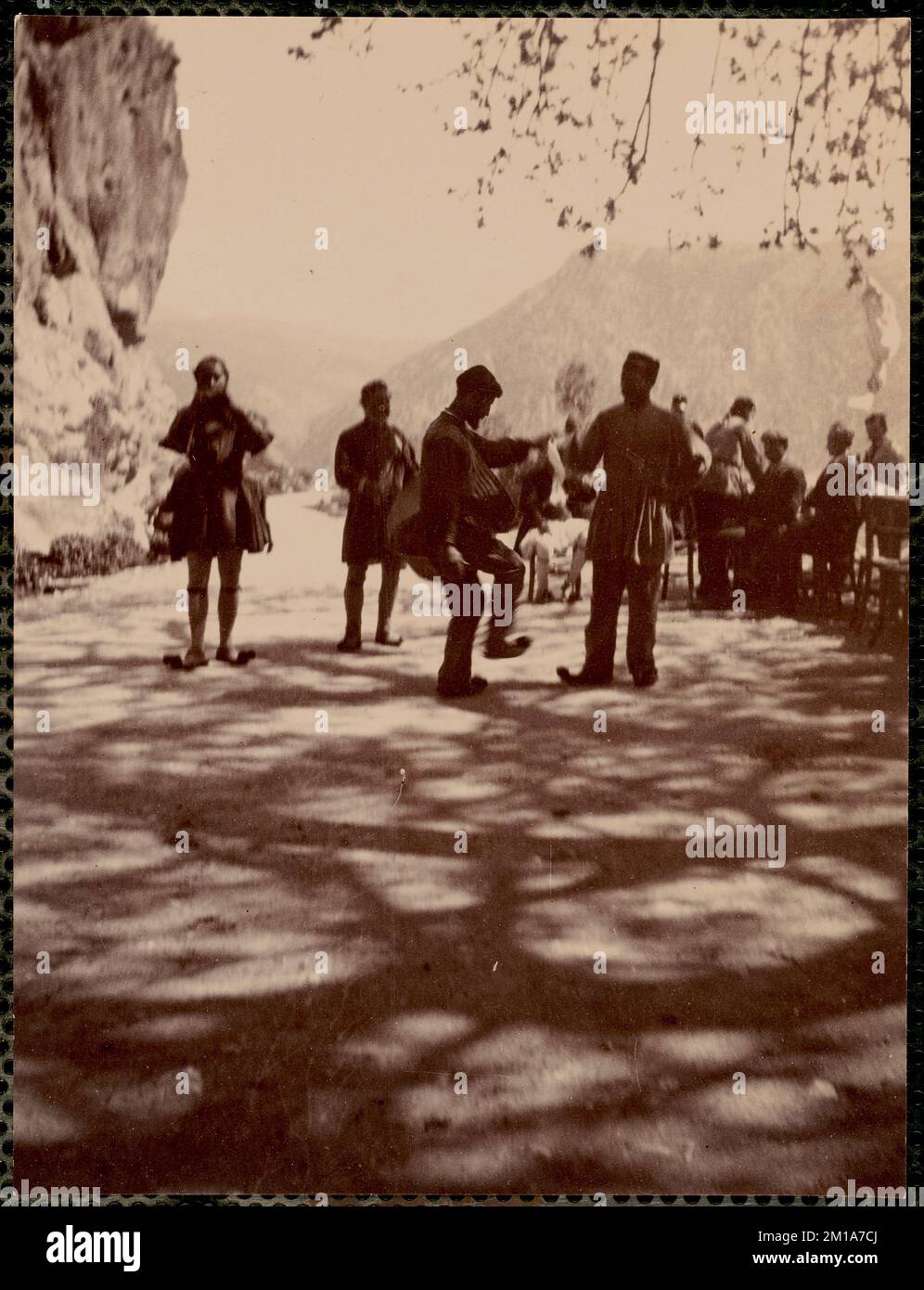 Under Agamemnon's tree, Delphi, Greece , Dance, Trees. Nicholas ...