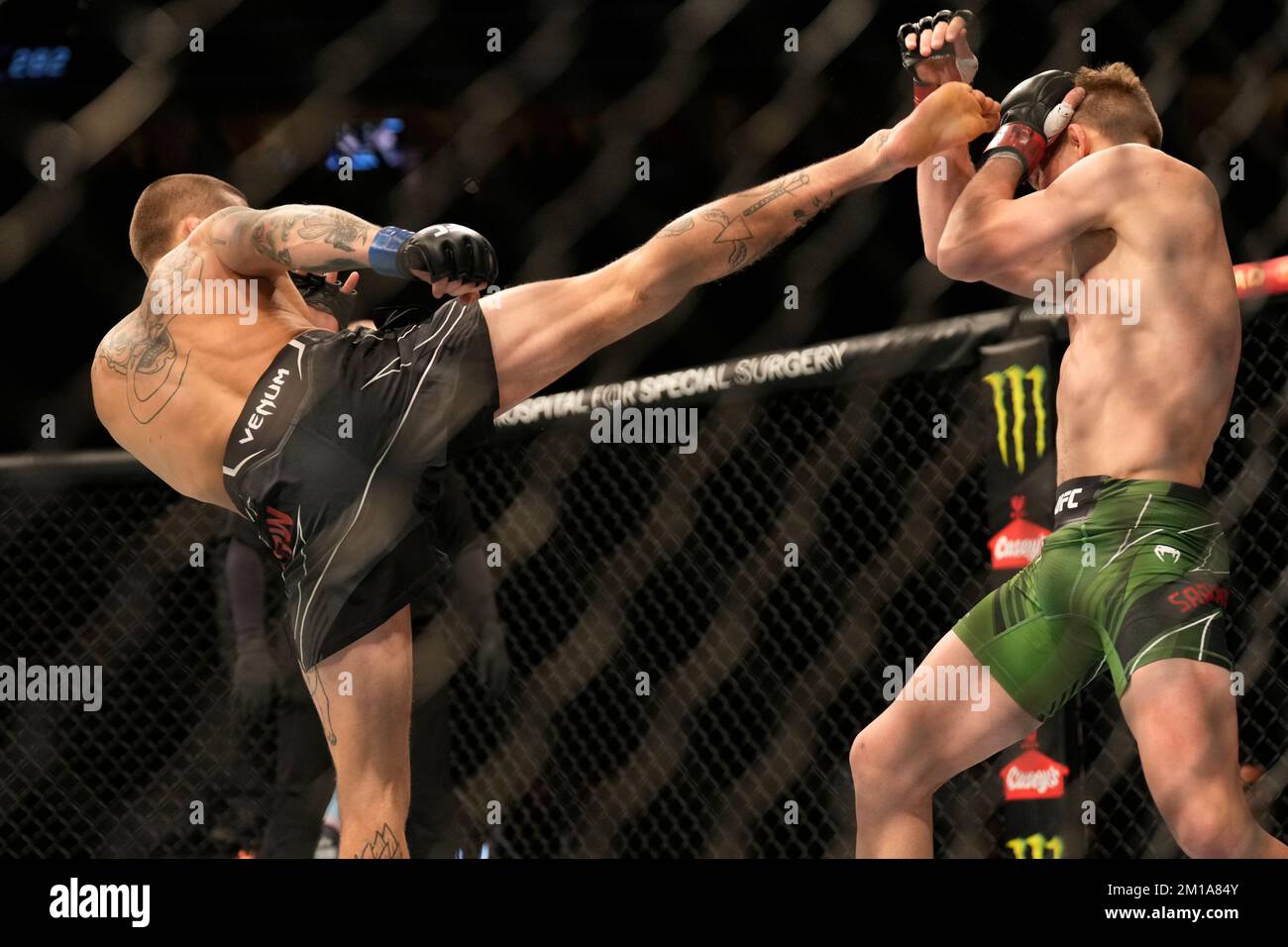 LAS VEGAS, NV - DECEMBER 10: (L-R) Steven Koslow kicks Cameron Saaiman ...