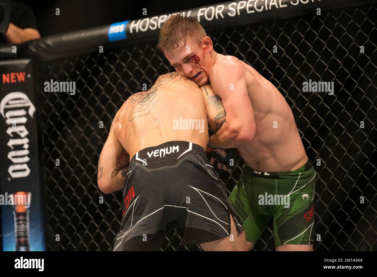 LAS VEGAS, NV - DECEMBER 10: (R-L) Cameron Saaiman battles Steven ...