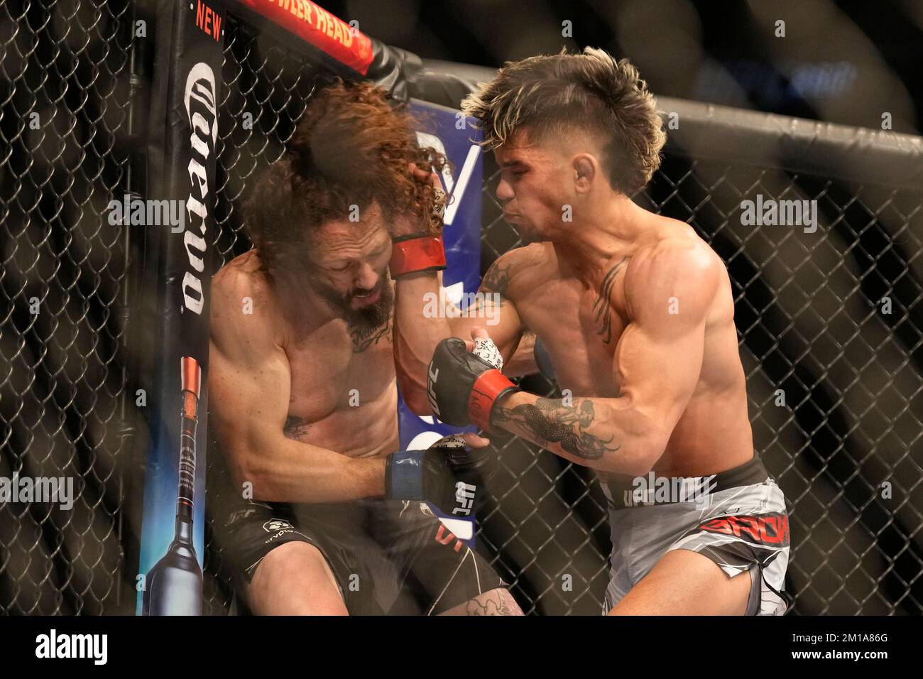 LAS VEGAS, NV - DECEMBER 10: (R-L) TJ Brown punches Erik Silva in their ...