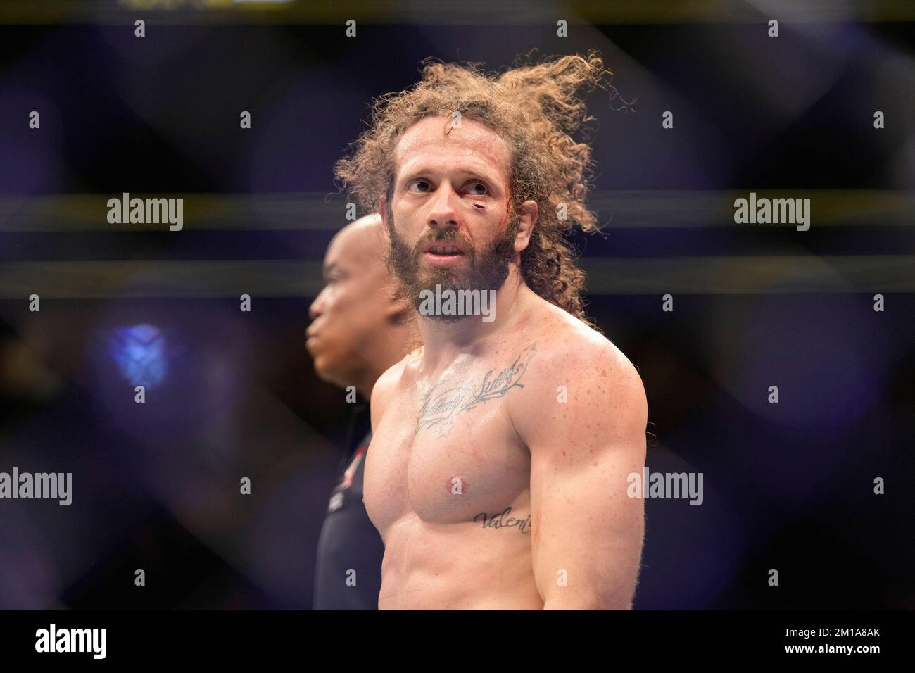LAS VEGAS, NV - DECEMBER 10: Erik Silva reacts over his lost to TJ ...