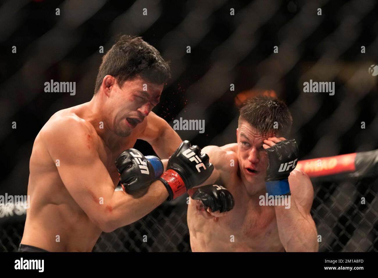 LAS VEGAS, NV - DECEMBER 10: (R-L) Alexander Hernandez punches Billy ...