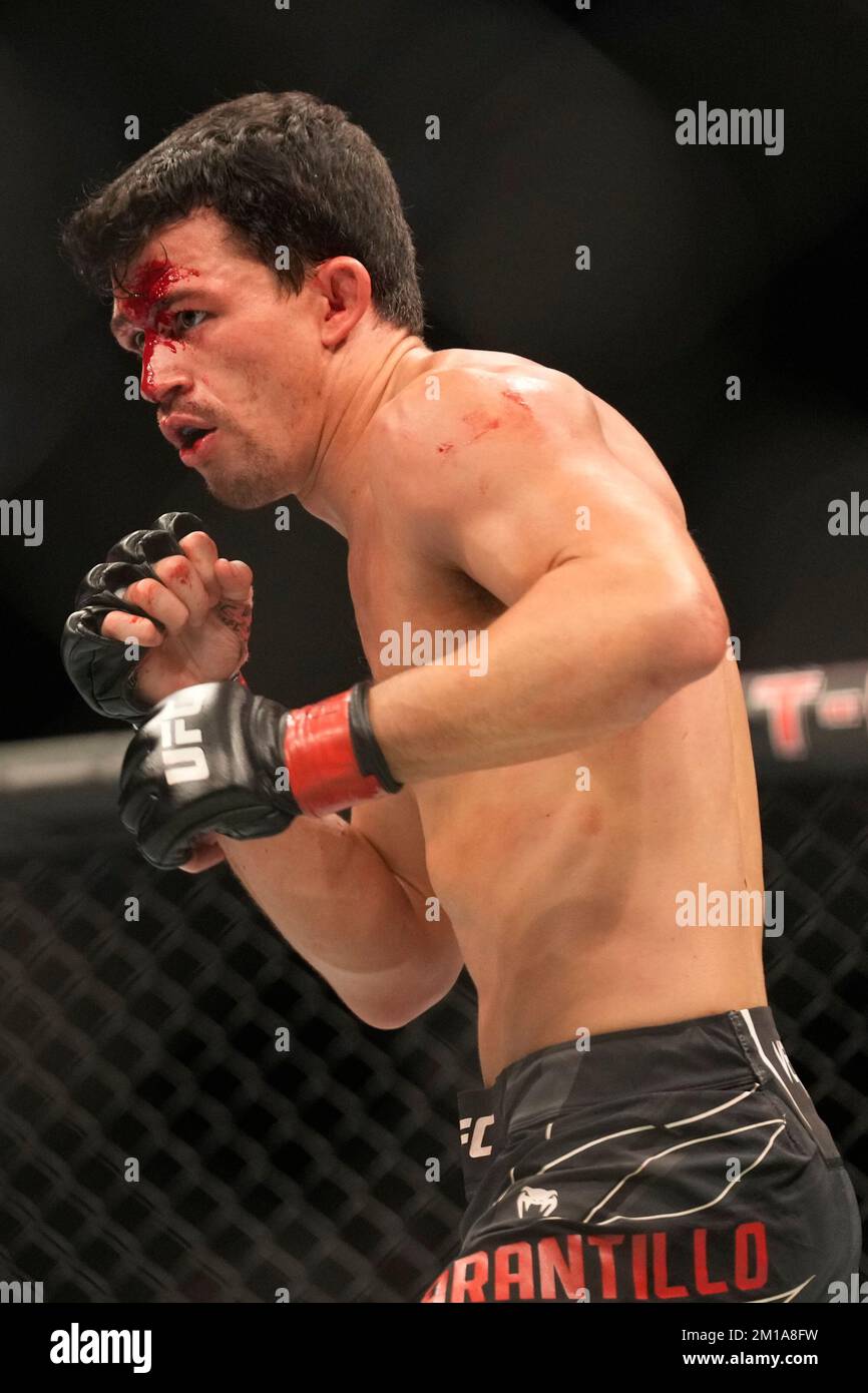 LAS VEGAS, NV - DECEMBER 10: Billy Quarantillo battles Alexander ...