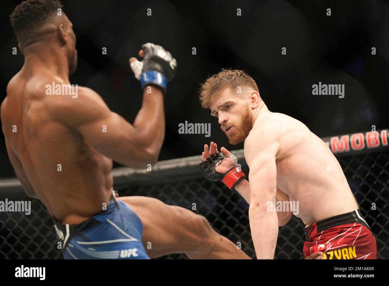 LAS VEGAS, NV - DECEMBER 10: (R-L) Edmen Shahbazyan battles Dalcha ...