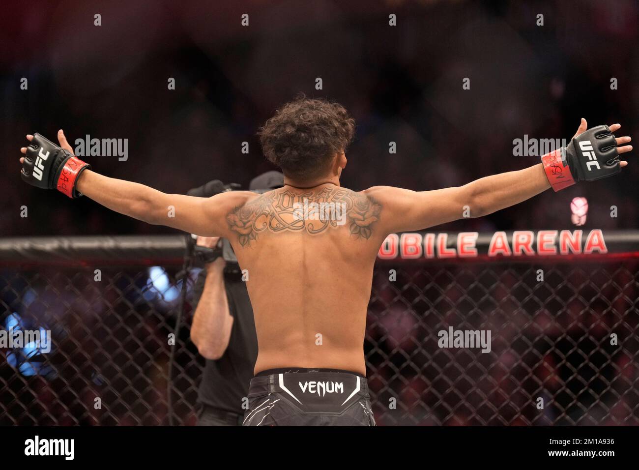 Jay photos hi-res stock photography and images - Alamy