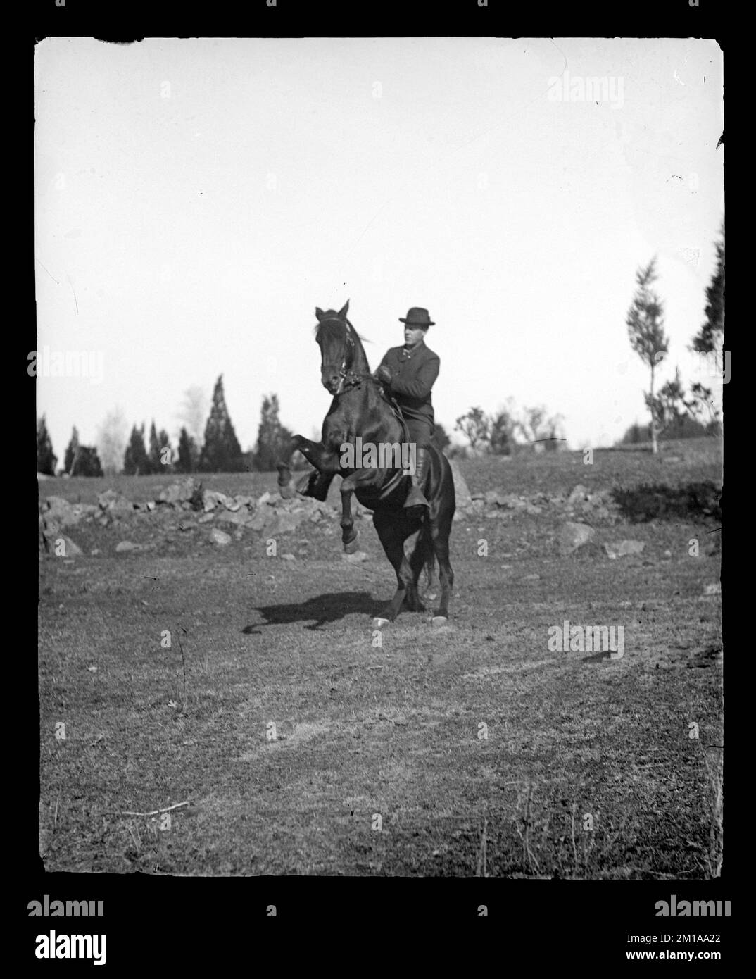 Unidentified man on rearing horse , People, Horses. Hingham Public ...