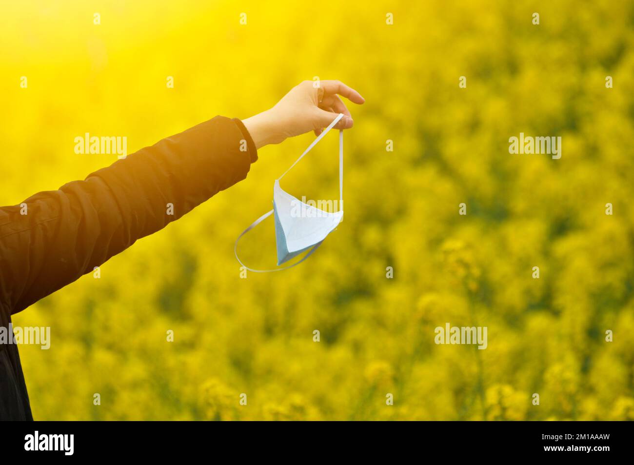 A Chinese woman taking off her mask takes photos in a rape field Stock ...