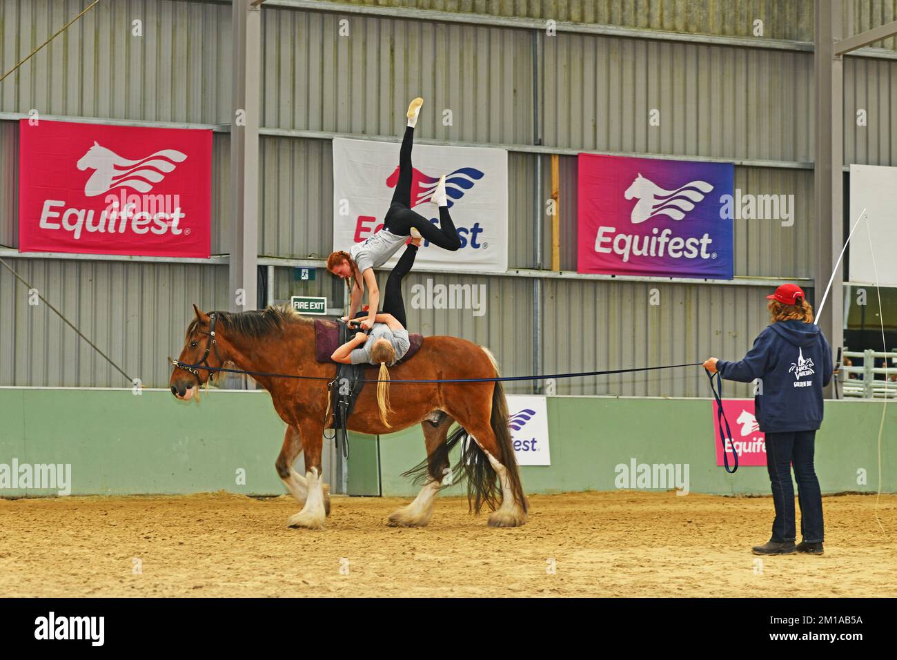 Equine vaulting hi-res stock photography and images - Alamy