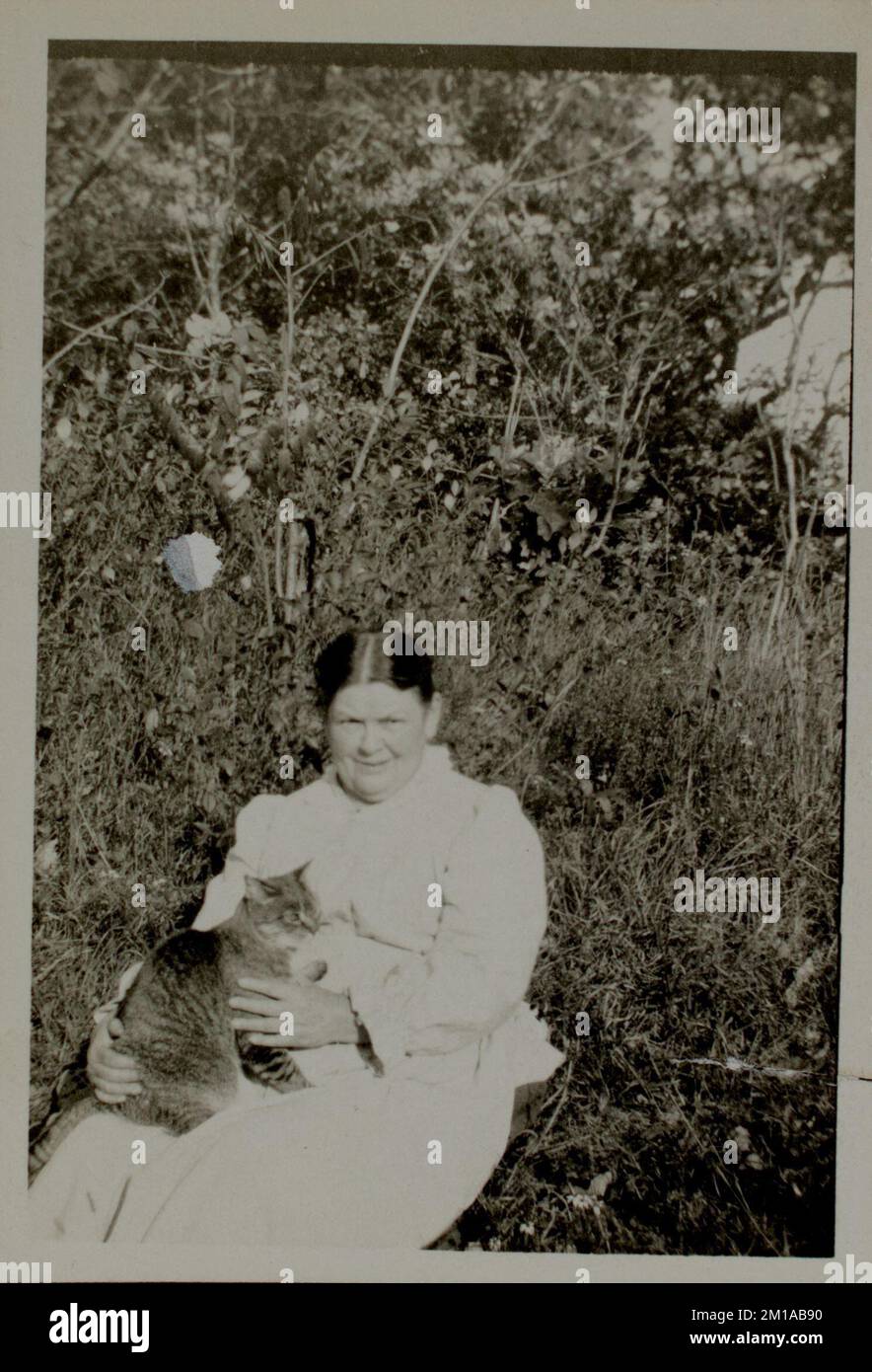 Unidentified woman in garden holding cat, 123 , Gardens, Cats Stock ...