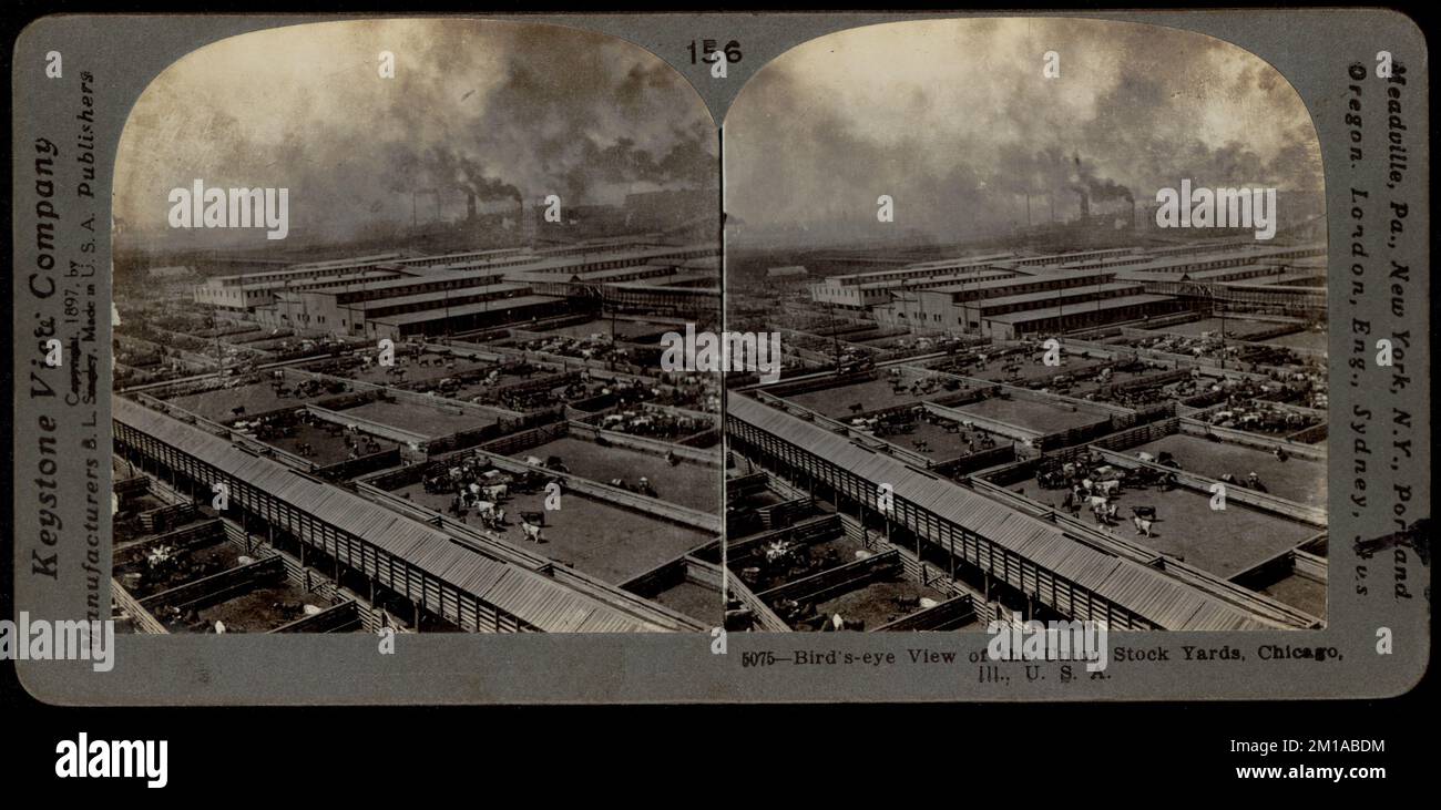 Union stockyards, bird's-eye view, Chicago, Illinois , Stockyards ...