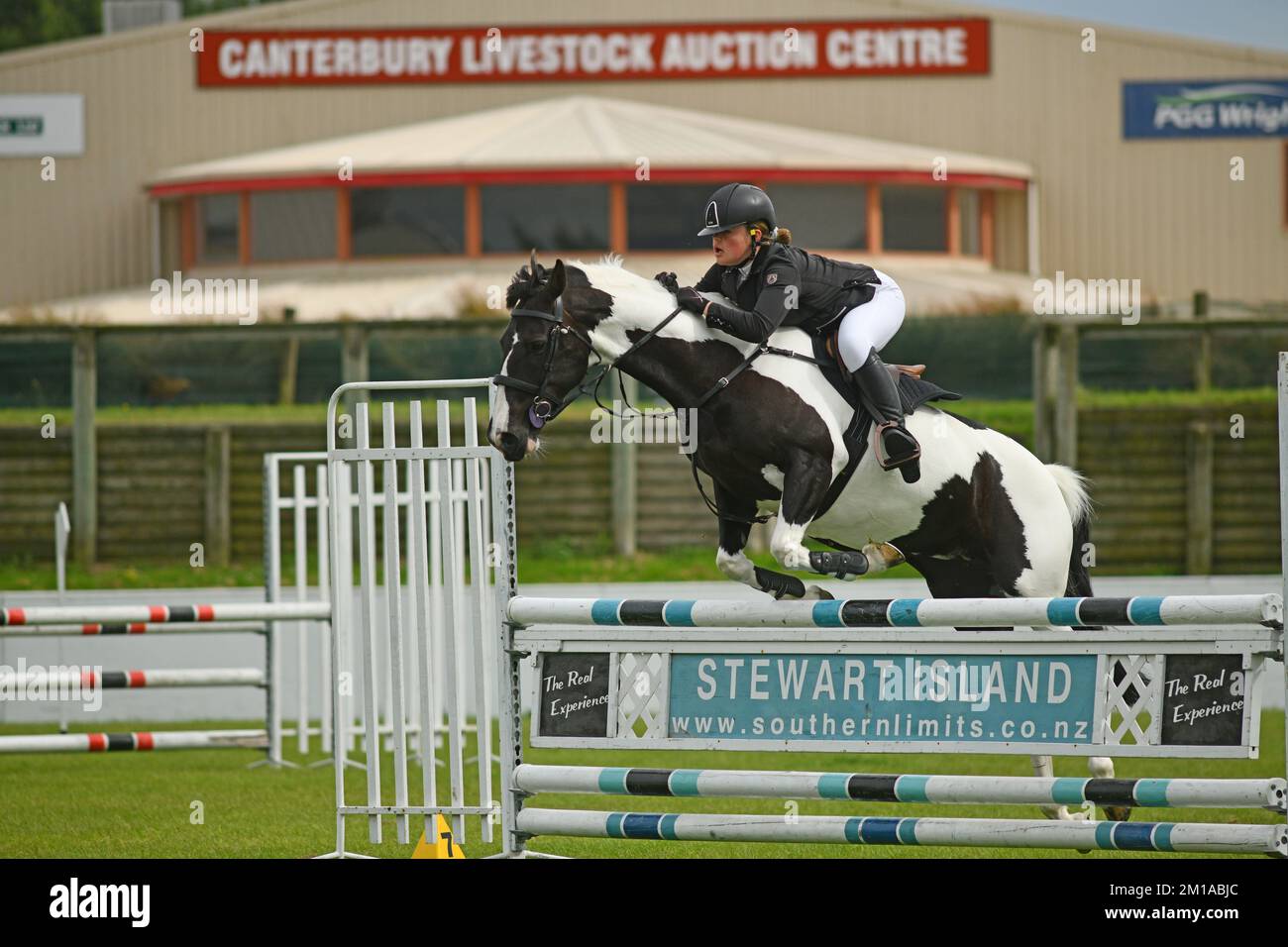 CHRISTCHURCH, NEW ZEALAND, DECEMBER 9, 2022: A show jumping competitor ...