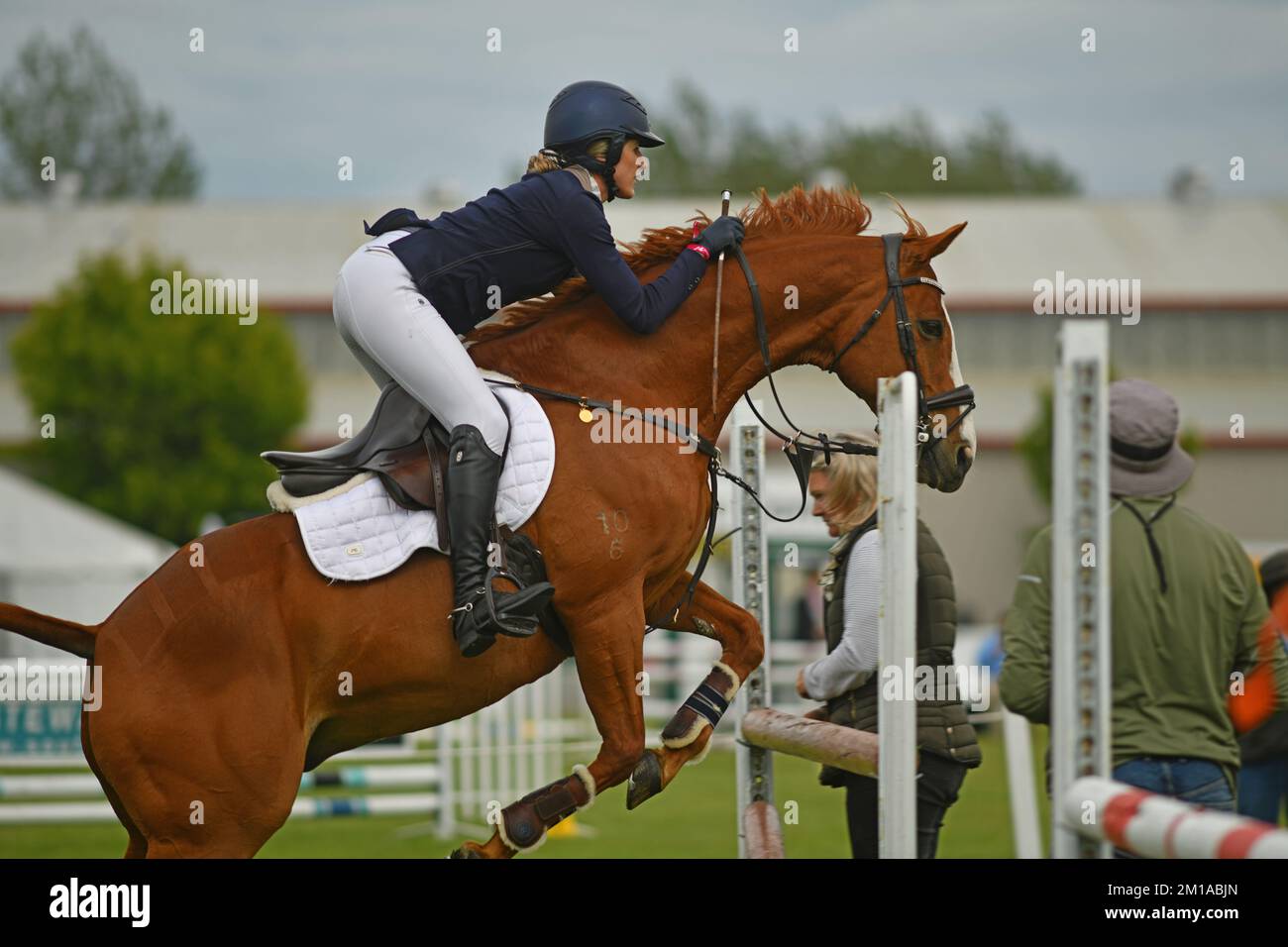CHRISTCHURCH, NEW ZEALAND, DECEMBER 9, 2022: A show jumping competitor ...