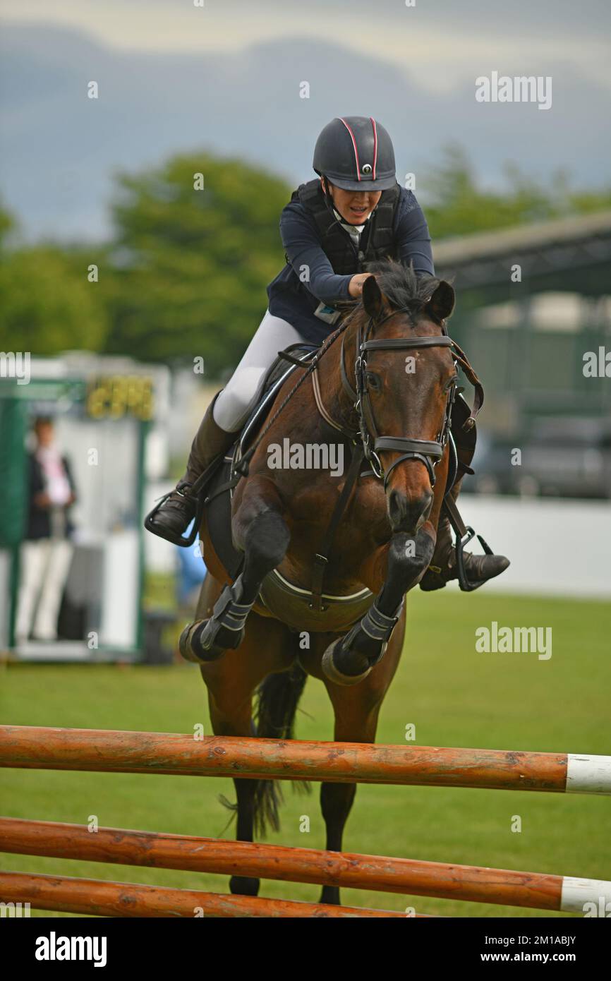 CHRISTCHURCH, NEW ZEALAND, DECEMBER 9, 2022: A show jumping competitor ...